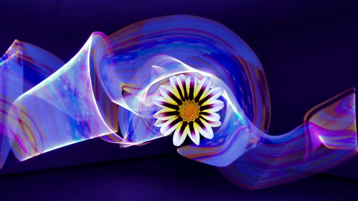 Pixelstick（ピクセルスティック）と花の合体（創作編）-Ⅰ – KEISUI ART STUDIO